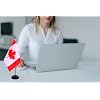 Amazon.com: WXTWK 2 Pack Canada Flag Canada Deluxe Desk Flag Set - Mini ...