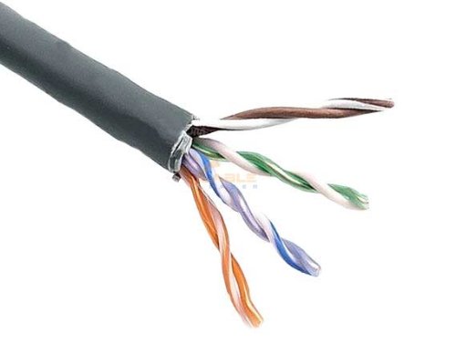 Amazon.com: 1000ft Cat6 400 MHz UTP Solid Plenum Bulk Cable, 23AWG, Gray : Electronics