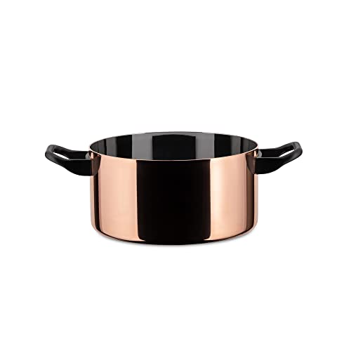 Alessi Officina 20 cm Casserole with 2 Handles, Gold – BigaMart