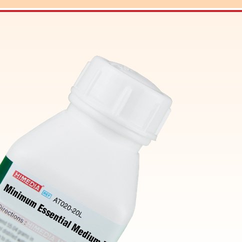 HiMedia AT020-20L Eagle Minimum Essential Medium (MEM) with Earle’s ...