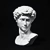 Amazon.com: fazhongfa Greek Statue of David Bust Resin Sculpture for ...