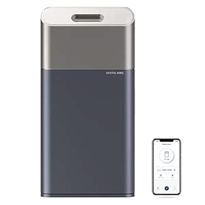 ARISTOS HOME Extra Large Smart Delivery Box 9.9x18.9x37.8 in, Smart ...