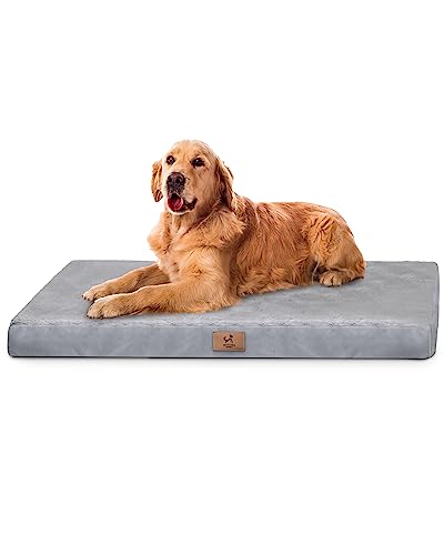 Protect Your Pup's Crate: The Ultimate Guide to Chew Proof Dog Beds ...