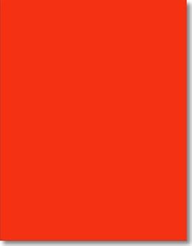 Amazon.com : Full Page Fluorescent Neon Red Labels - 100 Sheets ...