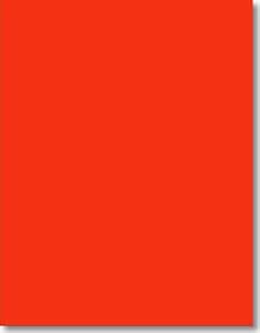 Amazon.com : Full Page Fluorescent Neon Red Labels - 100 Sheets ...