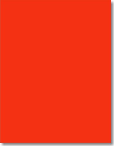 Amazon.com : Full Page Fluorescent Neon Red Labels - 100 Sheets ...