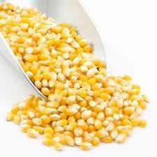 Uma Dry Fruits Popcorn Kernels| Corn Kernels| Popcorn| Corn Kernels For ...