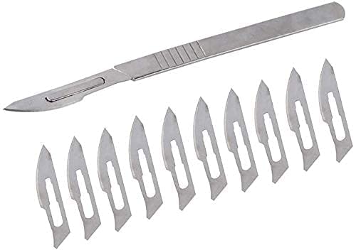 Mediwave Carbon Steel Surgical Blade Scalpel Blade No.11- (10 pcs) with ...