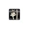 Amazon.com: DivaGlamz Poison Tree Necklace For Women, Stainless Steel ...