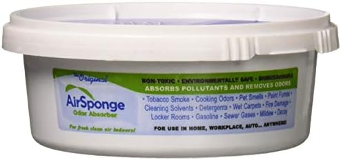 Amazon.com: Nature's Air Sponge Odor Absorber : Health & Household