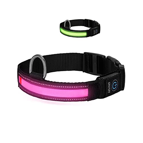 Led Halsband – Die 15 besten Produkte im Vergleich - HundeINFOPortal