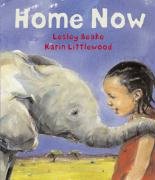 Home Now: Lesley Beake, Karin Littlewood: 9781845071059: Amazon.com: Books
