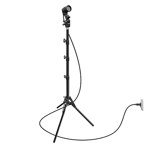 The Ultimate Guide to Understanding Tungsten Light in Photography ...