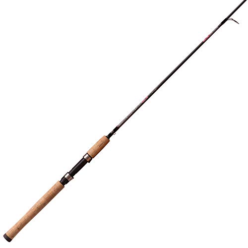 Best Graphite Fishing Rods: Your Ultimate Guide to High Performance ...