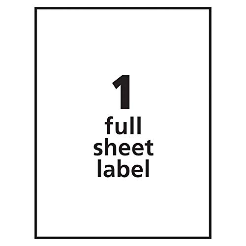 Avery Full Sheet Printable Shipping Labels, 8.5" x 11", White, 10 Blank ...