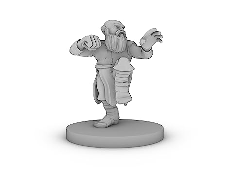 Amazon.com: Dwarf Monk Tabletop DND Gaming Miniature : Toys & Games