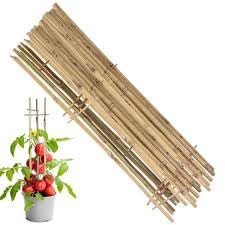 Wooden Plant Support Sticks, 1 Meter (Pack of 7) : Amazon.in: Garden ...