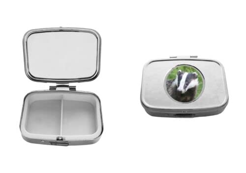 badger codec40 DOME on a silver metal pill box 2 slots Tablets : Amazon ...