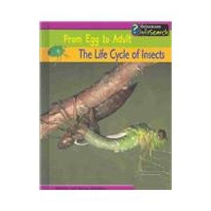 The Life Cycle of Insects (From Egg to Adult) : Spilsbury, Richard ...