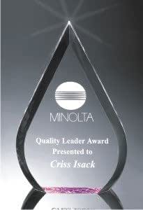 Amazon.com: Acrylic Teardrop Award (Large) : Home & Kitchen