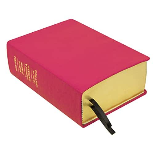 Amazon.com: LDS Scriptures Hand-Bound Bright Fuchsia Pink Genuine ...