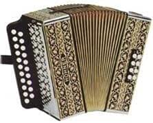 Amazon.com: Hohner HA-2815 Pokerwork 2 Row Melodeon Accordion : Musical ...