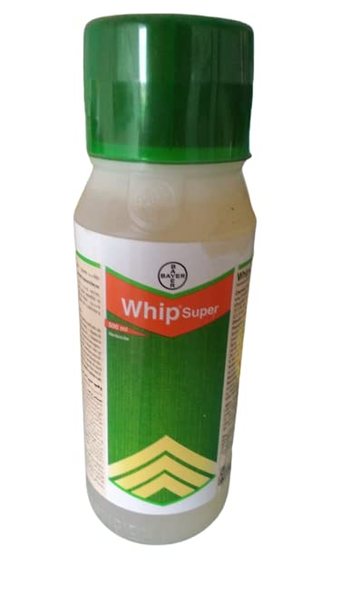 Whip 500 ml : Amazon.in: Home & Kitchen