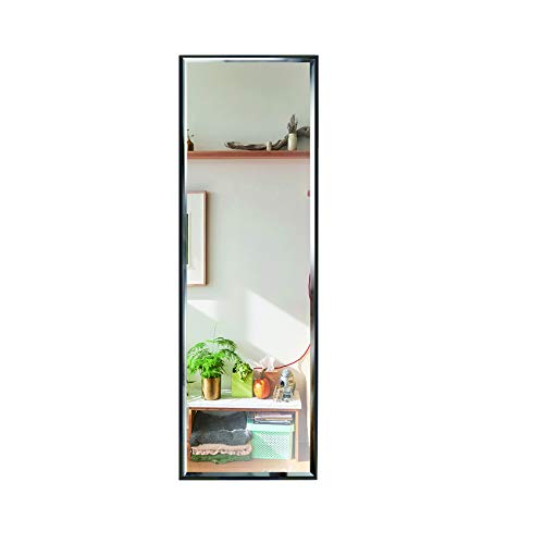 PETAFLOP 14x48 Inch Full Length Mirror Wall Mounted, Large Body Door ...