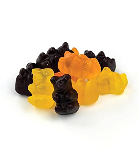 Amazon.com : Fruidles Fall Gummy Bears Candy, Halloween Gummies, Party ...