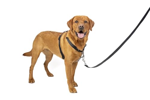 Gentle Leader Harness for Dogs – The 15 best products compared - Wild ...