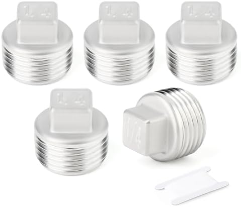 TAISHER 10PCS 304 Stainless Steel Outer Square Thread Socket Pipe Plug ...