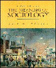 The Meaning of Sociology: Charon, Joel M.: 9780132310857: Amazon.com: Books