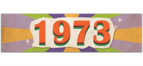 Amazon.com: Pro Roe 1973| Protect Women's Rights | Retro Car Window ...