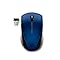 Amazon.com: HP X3000 G3 Wireless Mouse - Black, 15-Month Battery, Side ...