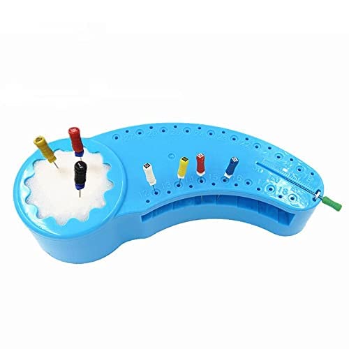 Buy DENTAL TOOL Endo Station (Pack of 1) Online at Low Prices in India ...