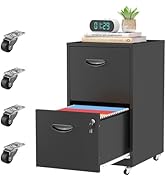 Amazon.com: TIMELESS PIECES 2 Drawer File Cabinet with Lock,Black Small ...