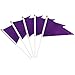 Amazon.com : 25 Pack Purple Pennant Flags Small Mini Hand Held Solid ...