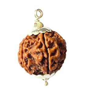 Beauty Gems Auspicious Five Mukhi Rudraksha Nepali Original Certified ...