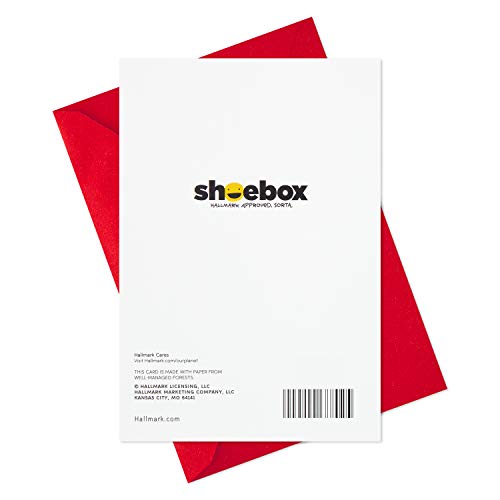 Hallmark Shoebox Friends Birthday Card - Want It All
