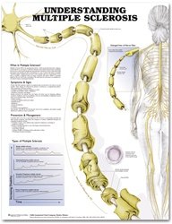 Amazon.com: Understanding Multiple Sclerosis Anatomical Chart ...