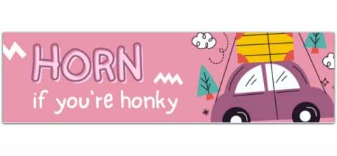 Amazon.com: Horn If You're Honky! Funny Meme Car Bumper Stickers ...