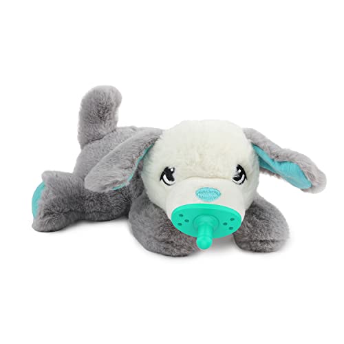 10 Best Pacifiers for Kittens That Will Keep Your Feline Friend Happy ...