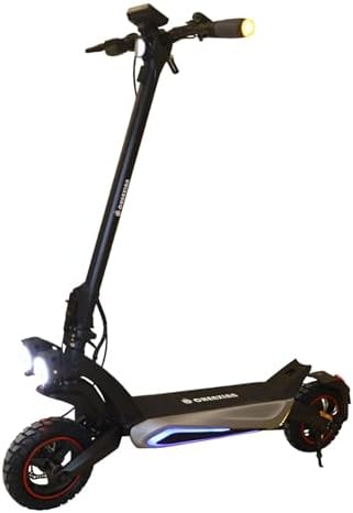 CHENXIAN T2 electric scooter 2000W Brushless Motor, 15° Climbing Angle ...