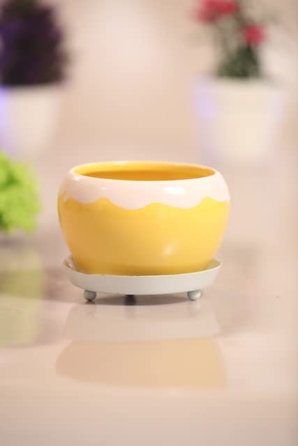 Humera Handicraft Aesthetic Design, Round Metal Planter with Water ...