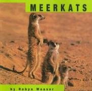 Buy Meerkats Book Online at Low Prices in India | Meerkats Reviews ...
