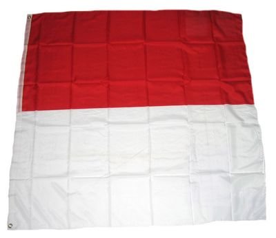 Fahne/Flagge Schweiz - Kanton Solothurn 120 x 120 cm : Amazon.de: Garten