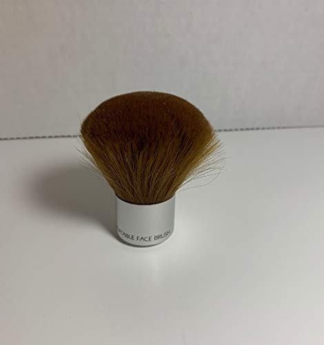 Amazon.com: PRESCRIPTIVES PORTABLE FACE BRUSH : Beauty & Personal Care