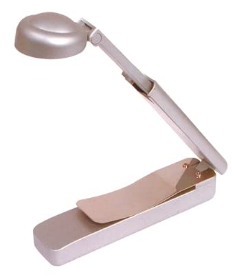 Amazon.in: Buy Itty Bitty Book Light Led Edition (Zelco Book Lights ...