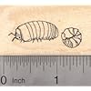 Amazon.com: Pill Bug Rubber Stamp, Roly Poly, Potato Bug, Sow Bug ...