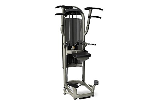 Matrix Magnum Dip and Chin Assist : Amazon.in: Sports, Fitness & Outdoors